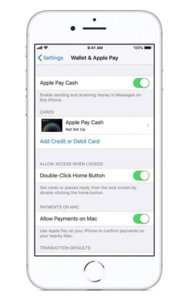 Full Guide to Set up and Use Apple Pay Cash